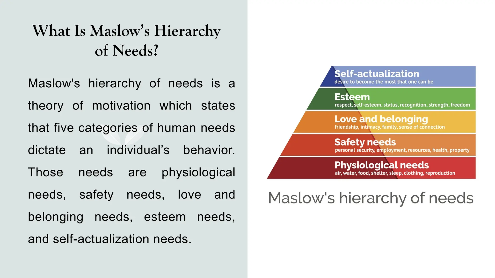Abraham maslow's hierarchy of needs.pptx
