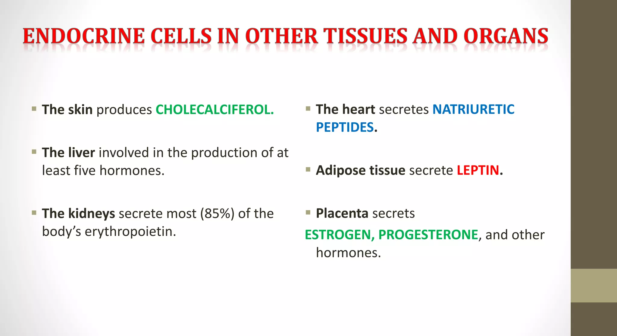 The Endocrin System | PPTX
