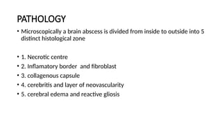 A BRAIN ABSCESS ........................................ | PPTX