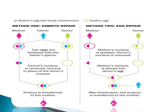 Artificial Reproductive Technology | PPTX | Infertility | Reproductive ...