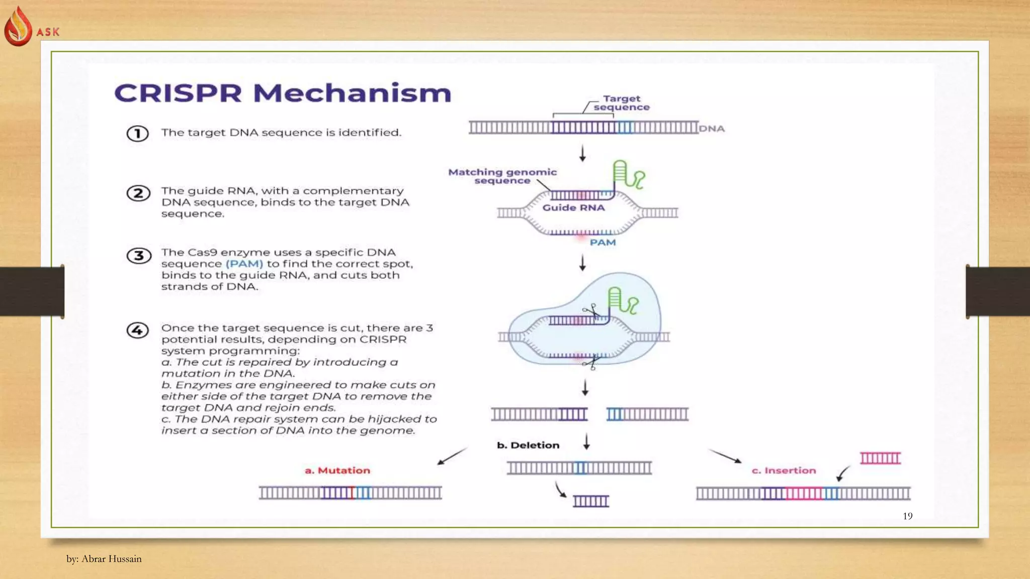 CRISPR Technology | PPTX