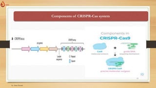 CRISPR Technology | PPTX