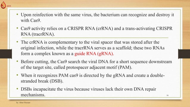CRISPR Technology | PPTX