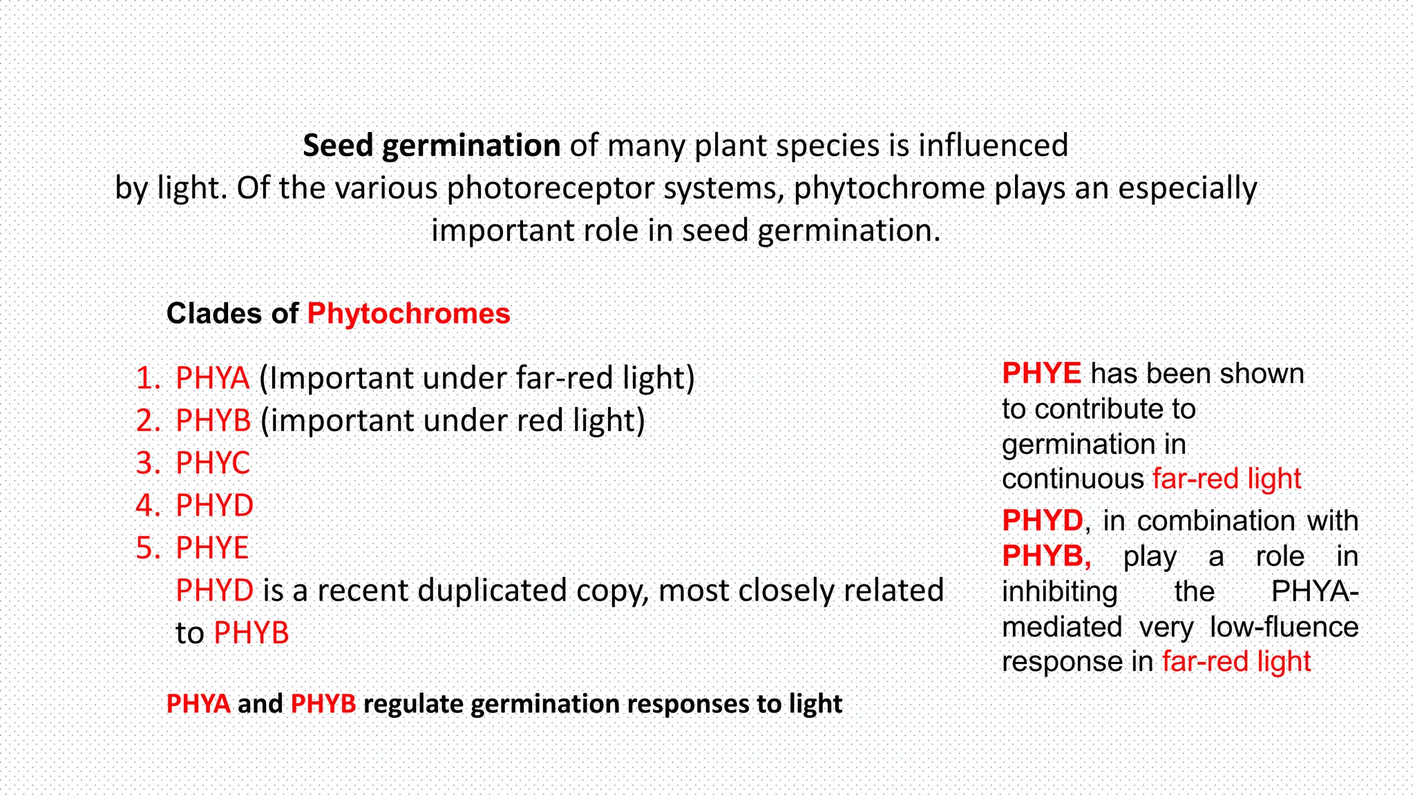 Phytochrome and Seed Germination by Abrar Ahmad | PPTX