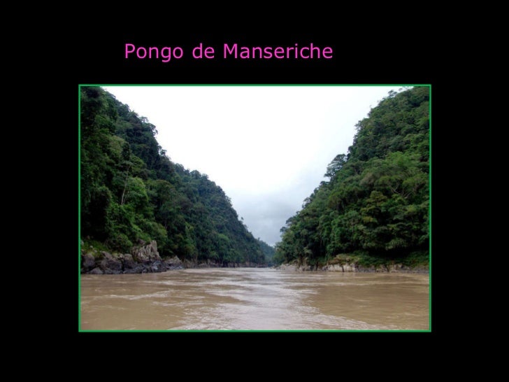 Abras y pongos del perú