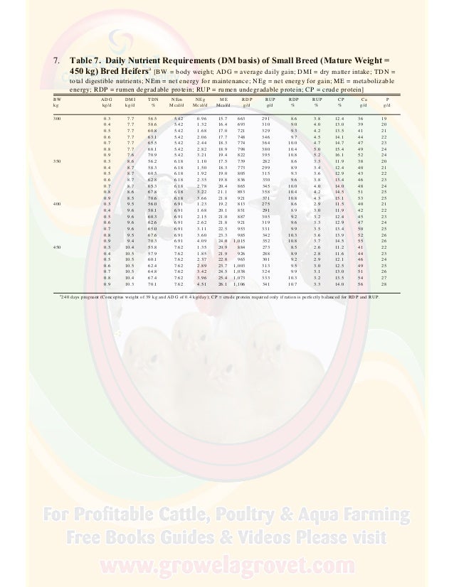 A Brief Guide to Dairy Cattle Feeding & Nutrition