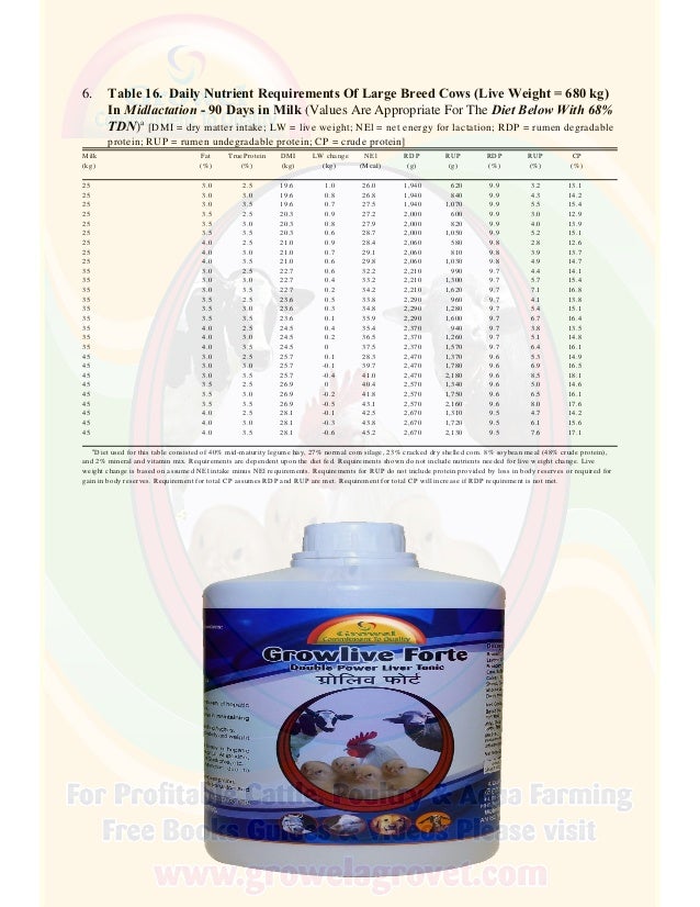 A Brief Guide to Dairy Cattle Feeding & Nutrition
