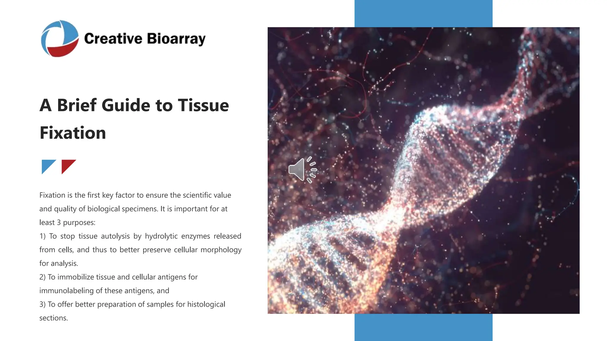 A Brief Guide to Tissue Fixation and Its Importance in Pathology ...