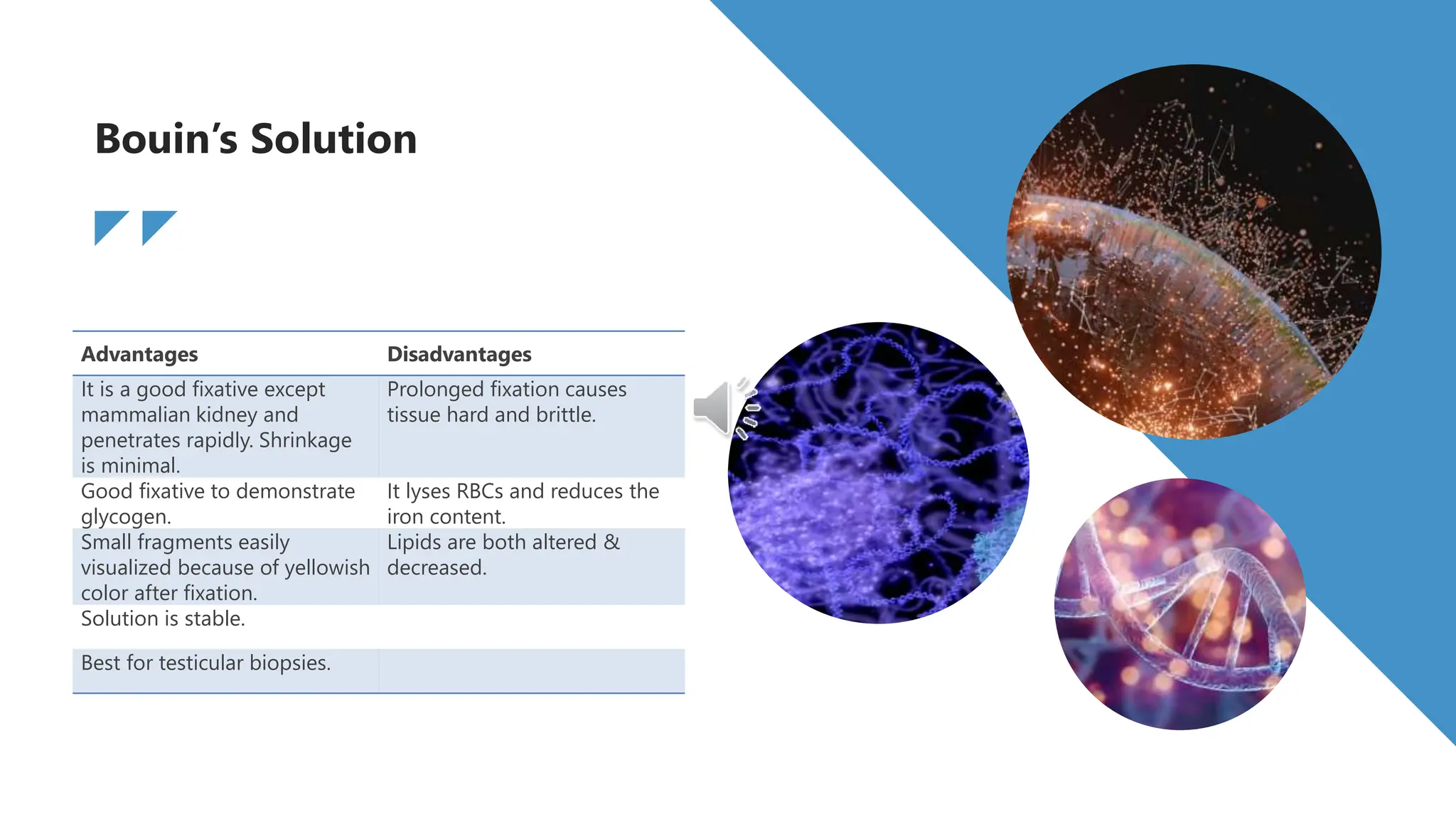 A Brief Guide to Tissue Fixation and Its Importance in Pathology ...