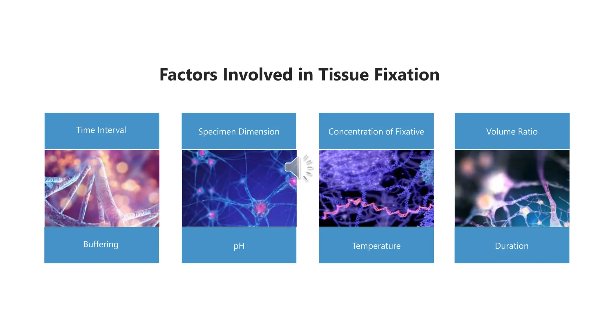 A Brief Guide to Tissue Fixation and Its Importance in Pathology ...