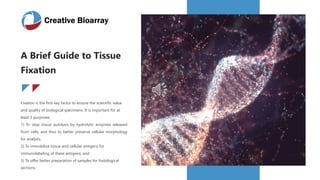 A Brief Guide to Tissue Fixation and Its Importance in Pathology ...