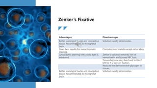 A Brief Guide to Tissue Fixation and Its Importance in Pathology ...