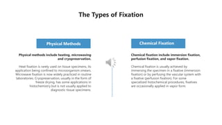 A Brief Guide to Tissue Fixation and Its Importance in Pathology ...