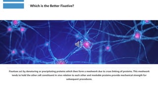 A Brief Guide to Tissue Fixation and Its Importance in Pathology ...