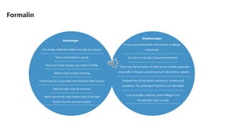 A Brief Guide to Tissue Fixation and Its Importance in Pathology ...