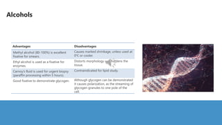 A Brief Guide to Tissue Fixation and Its Importance in Pathology ...