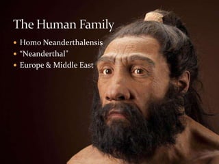 A brief presentation of a brief history of humankind | PPSX