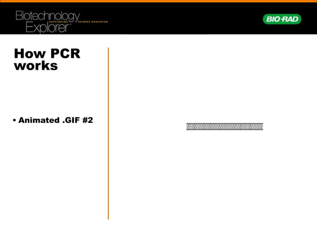 A_Brief_History_of_PCR.ppt