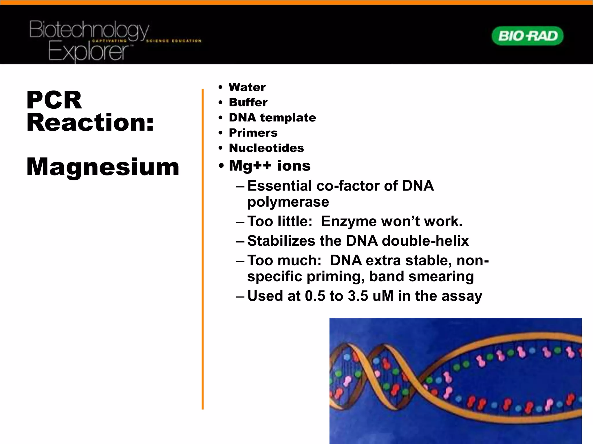 A brief History of PCR | PPT
