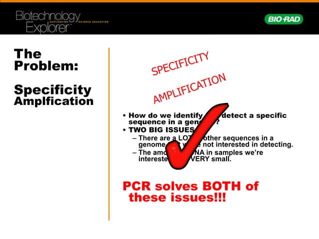 A brief History of PCR | PPT
