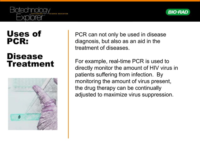 A brief History of PCR | PPT