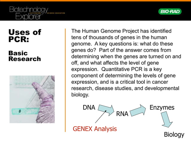 A brief History of PCR | PPT