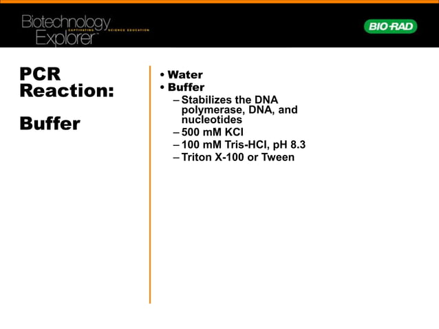 A brief History of PCR | PPT