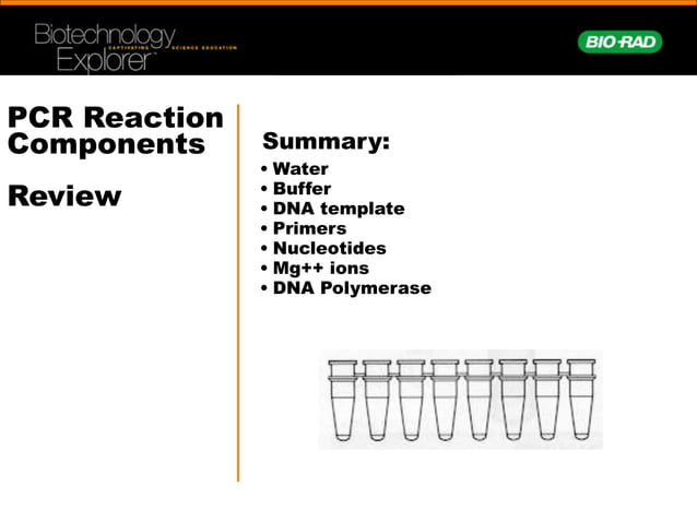 A brief History of PCR | PPT