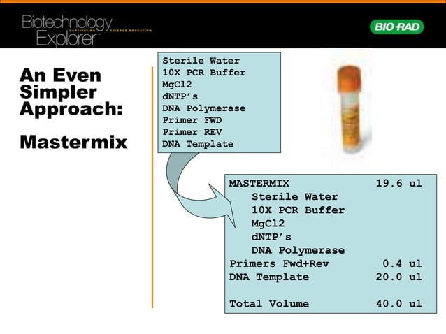 A brief History of PCR | PPT