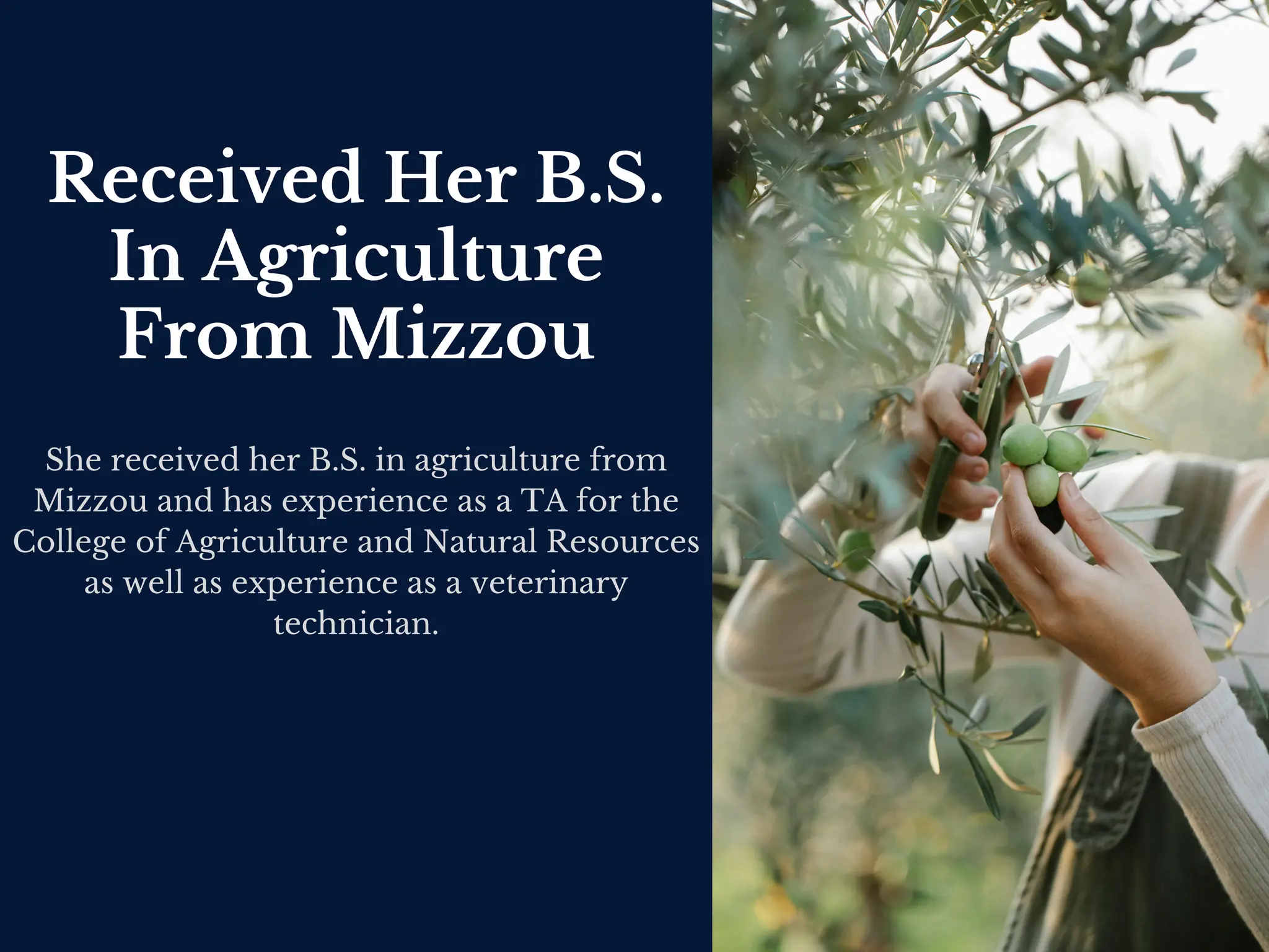 A Brief Introduction About Meg Miller Mizzou | PPT
