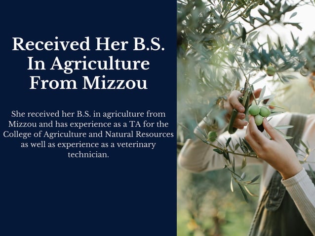 A Brief Introduction About Meg Miller Mizzou | PPT