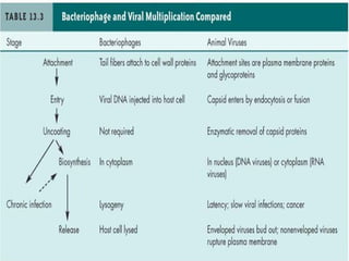 A brief introduction of viruses | PPT