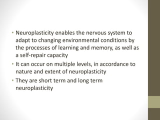A brief introduction to NEUROPLASTICITY | PPTX