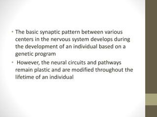 A brief introduction to NEUROPLASTICITY | PPTX