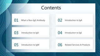 A brief introduction to non-IgG antibody - Creative Biolabs | PPT