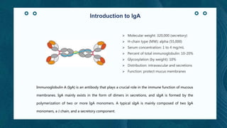 A brief introduction to non-IgG antibody - Creative Biolabs | PPTX
