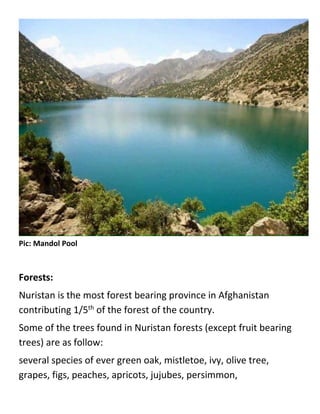 A Brief Introductory of Nuristan, By Ab.Hakim Hakimi .pdf