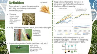 A Brief Overview on Crop Science | PDF