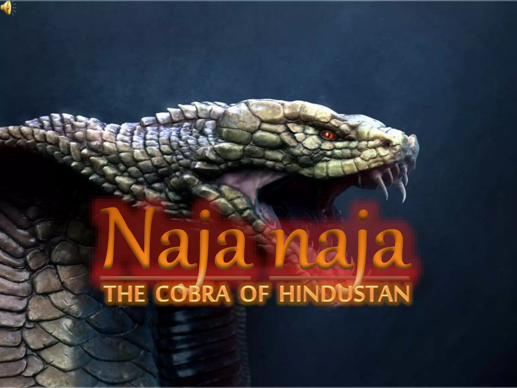 A brief study on naja naja the indian cobra | PPTX