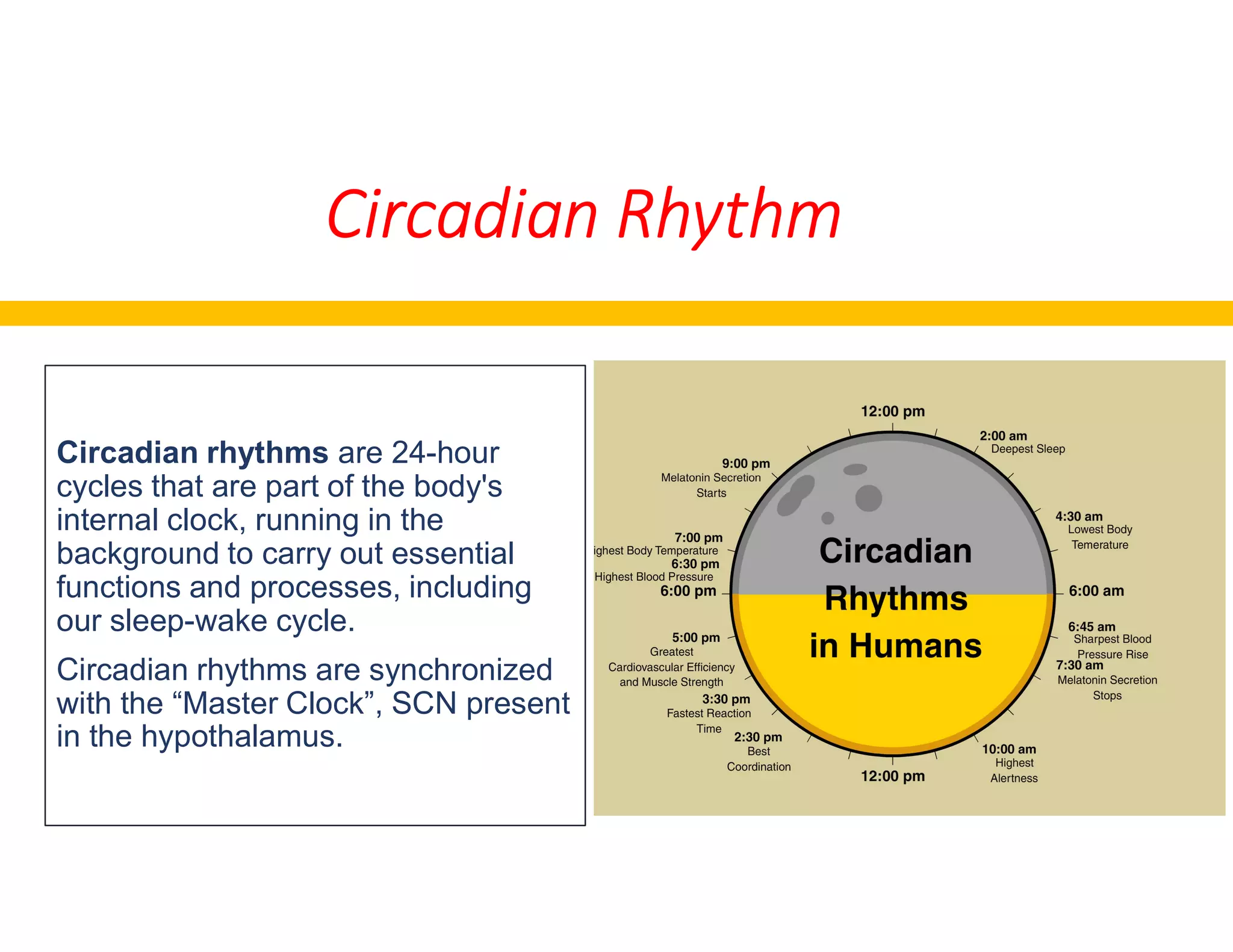 A brief study on sleep. | PDF
