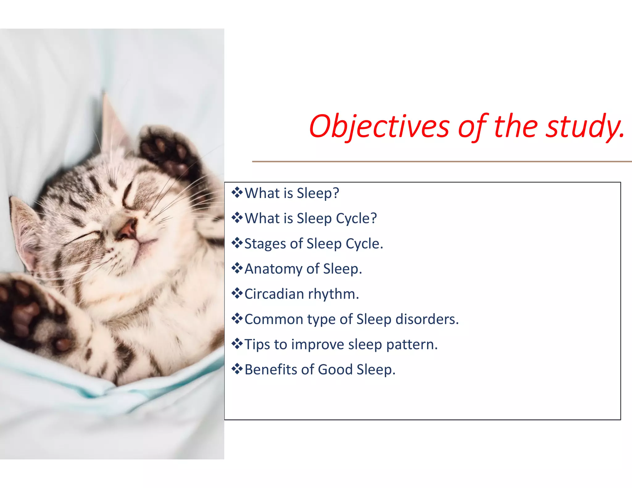 A brief study on sleep. | PDF