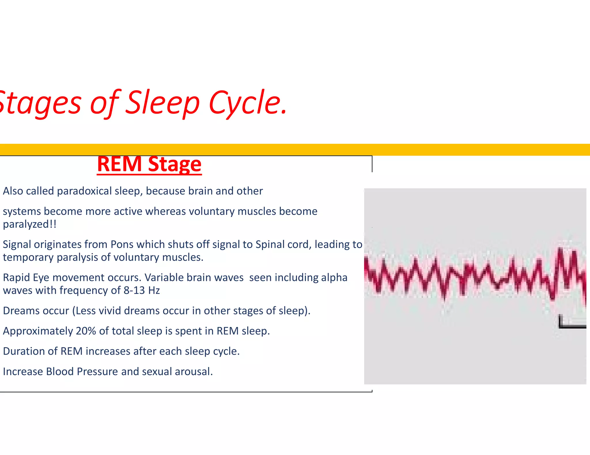 A brief study on sleep. | PDF