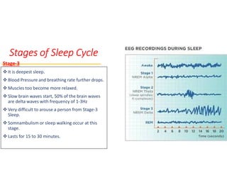 A brief study on sleep. | PDF | Sleep Disorders | Diseases and Conditions