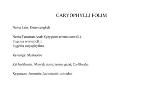 Abri folium | DOCX