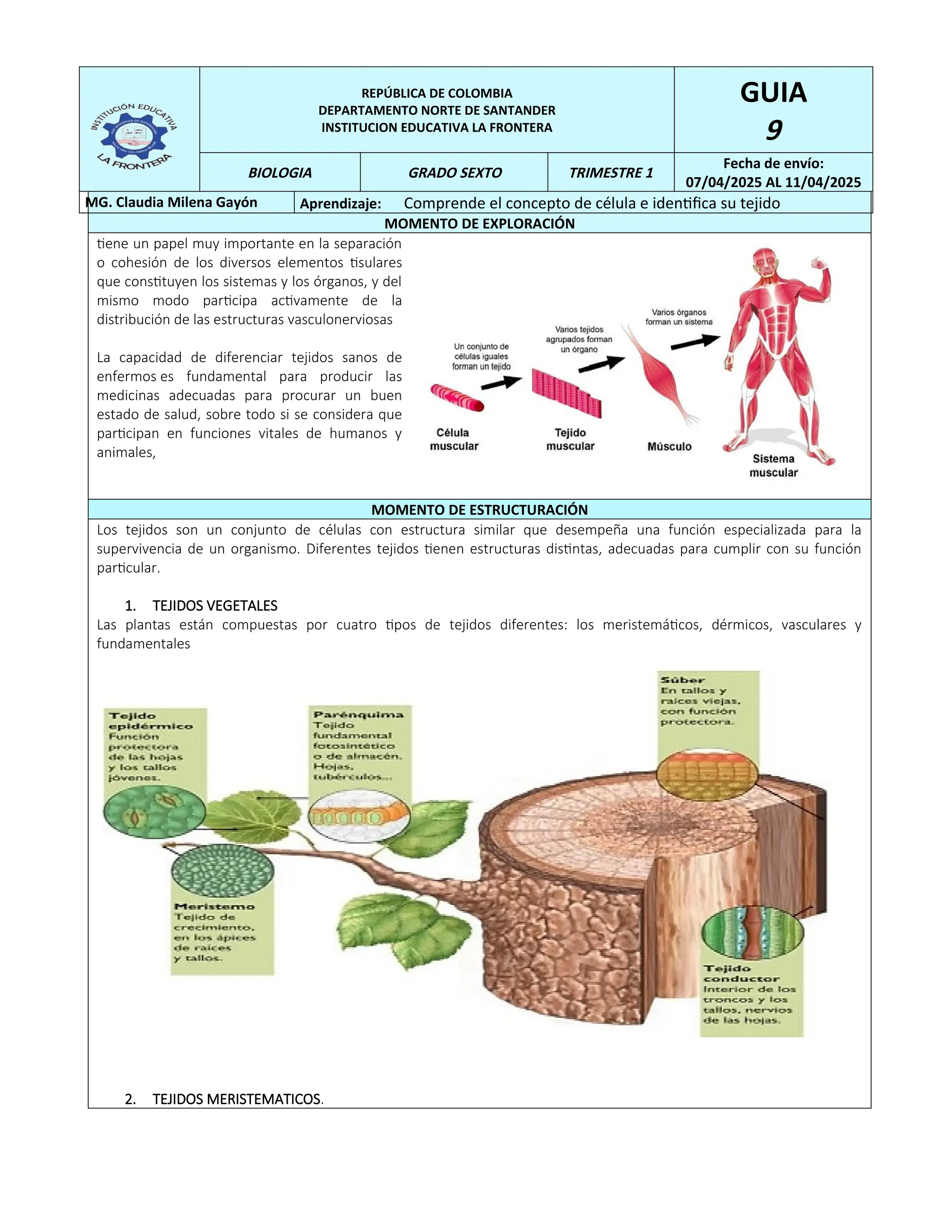 sistema muscular impo0rtancia del cuerpo humano | DOCX