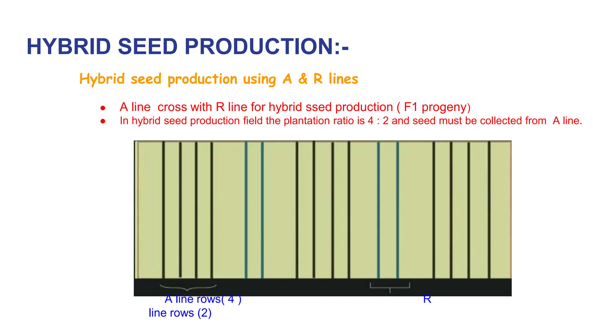 ABR LINE.pptx