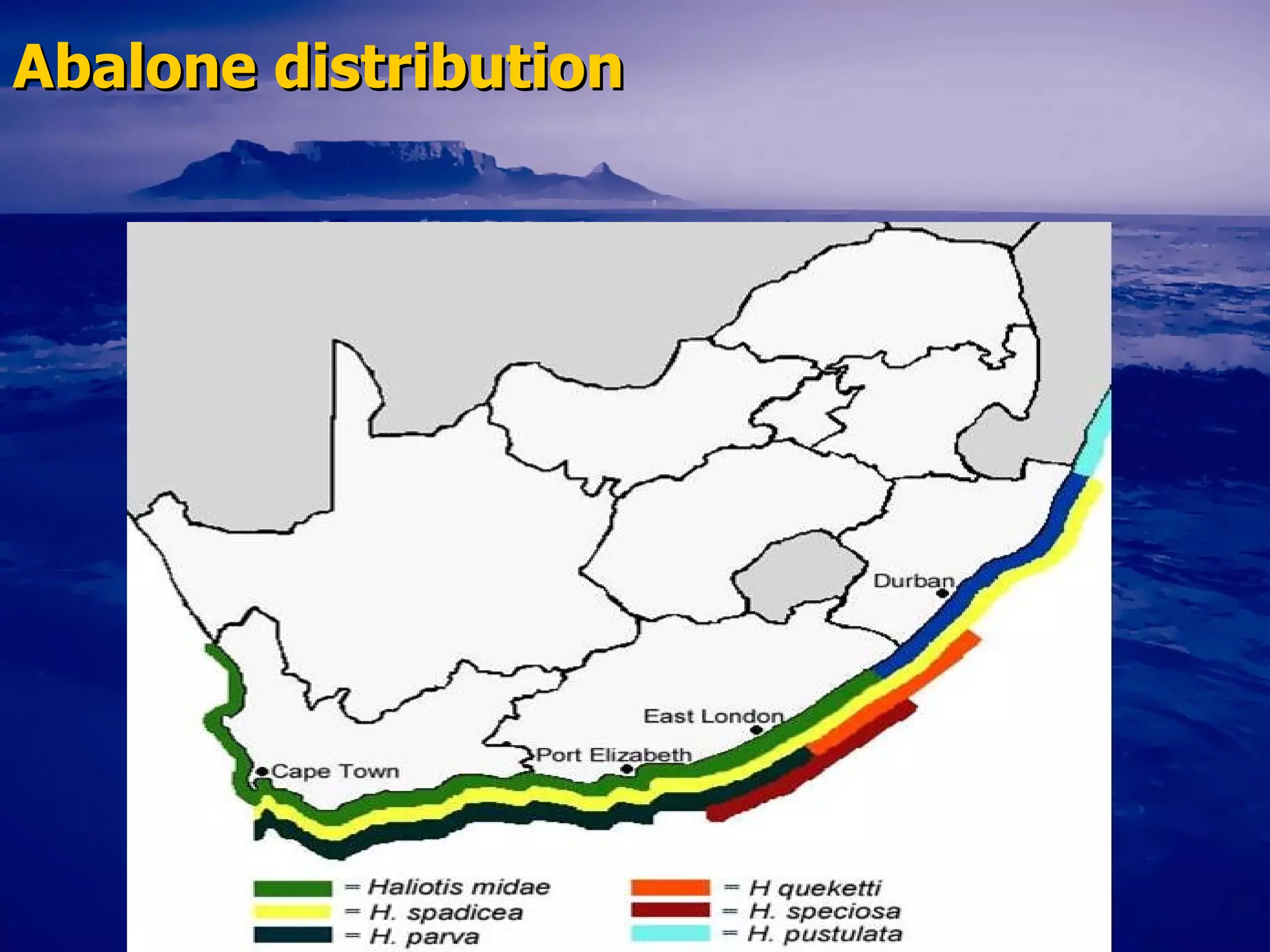 Abalone (Haliotis midae) farming and seaweed harvesting in South Africa ...