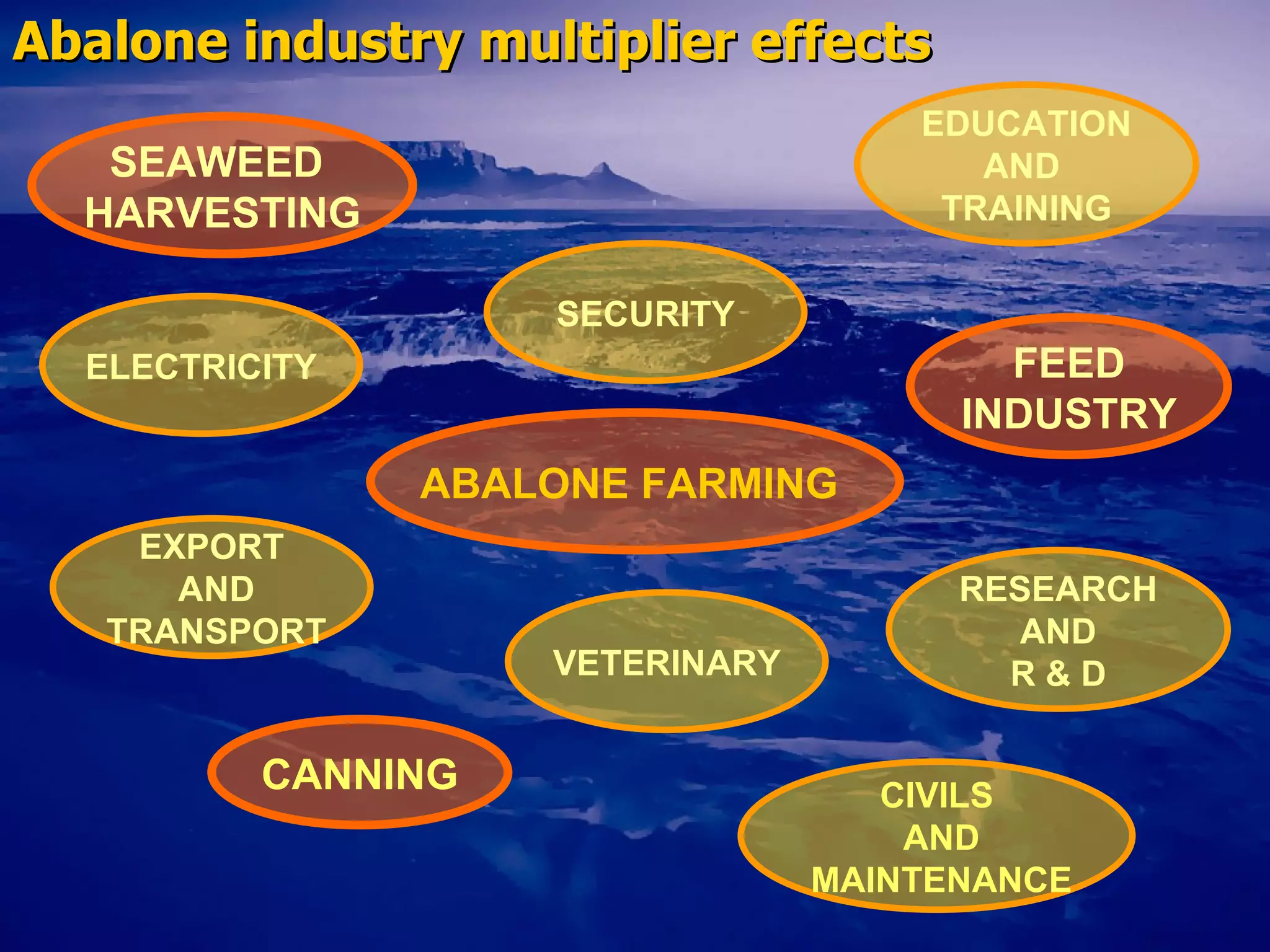 Abalone (Haliotis midae) farming and seaweed harvesting in South Africa ...