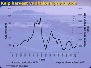 Abalone (Haliotis midae) farming and seaweed harvesting in South Africa ...