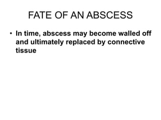 absces.pptx